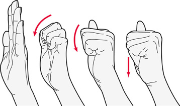 Exercises You Can Do Sitting Down Arthritis UK Exercises You Can Do Sitting Down Arthritis UK